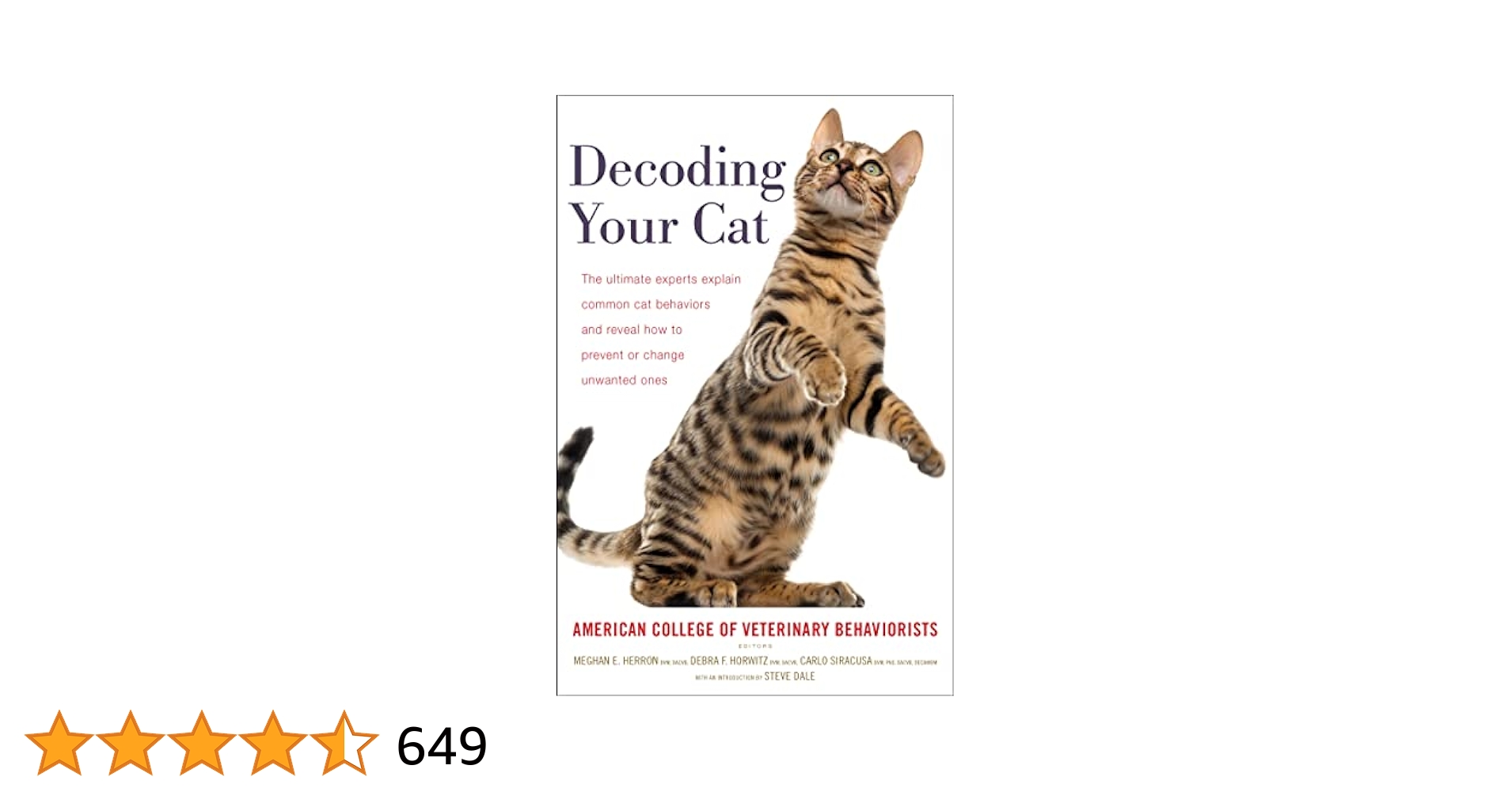 How to Decipher Cat Behavior: Expert Tips to Understand Your Feline - Cat