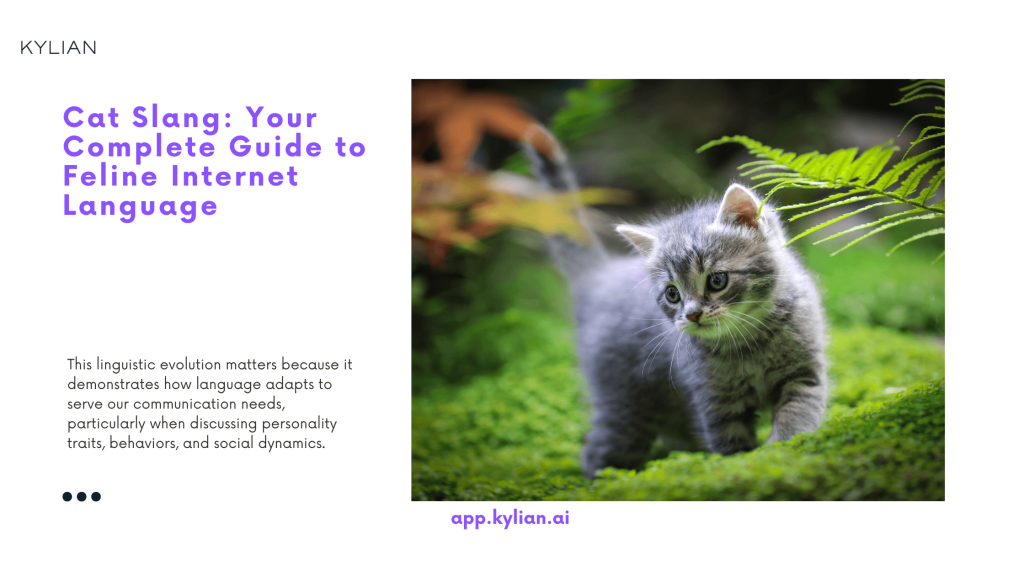 How to Describe Cat Behavior: Expert Tips to Understand Your Cat - Cat