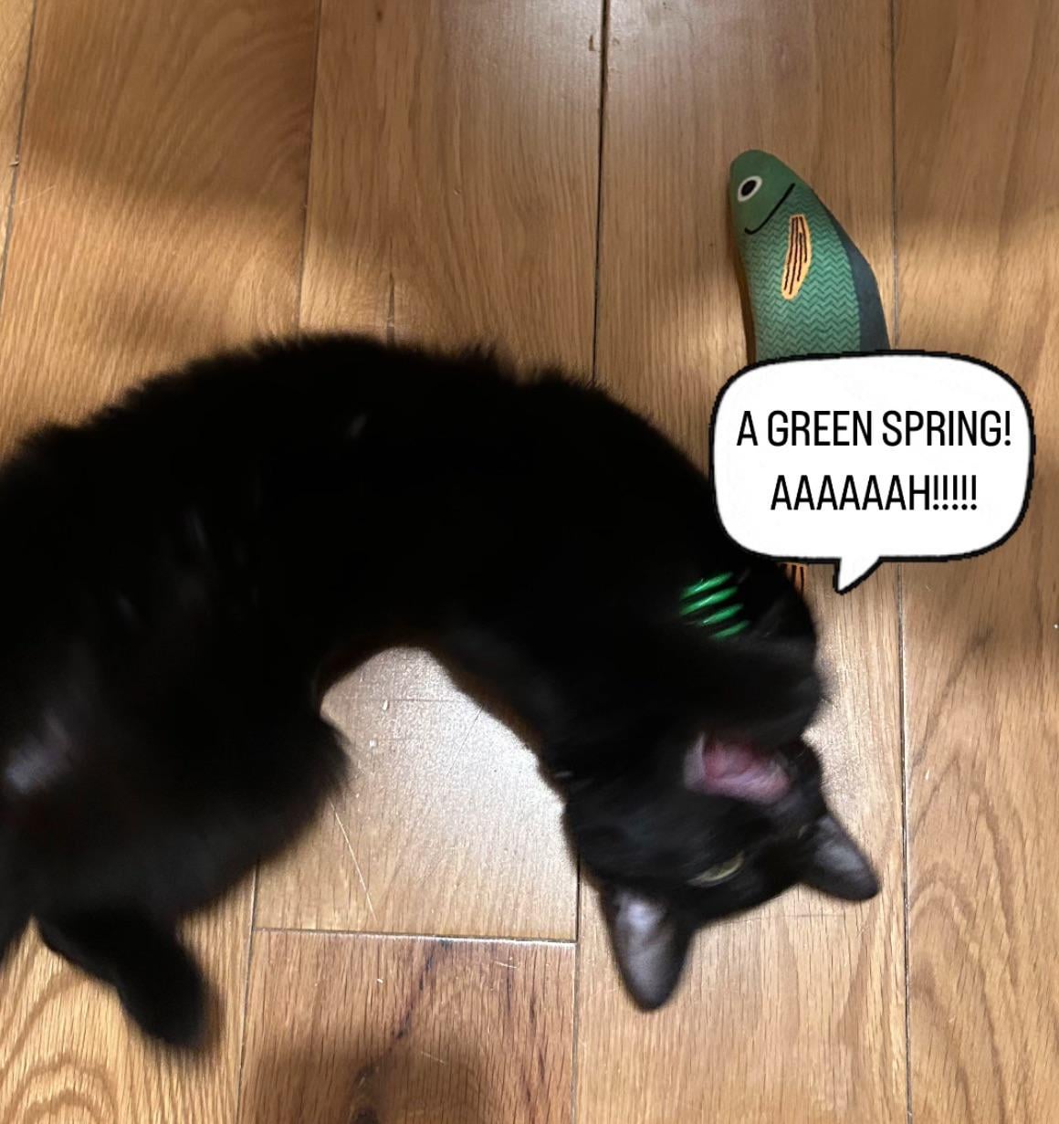 Why Do Cats Drop Toys in Water: Surprising Reasons Explained - Cat